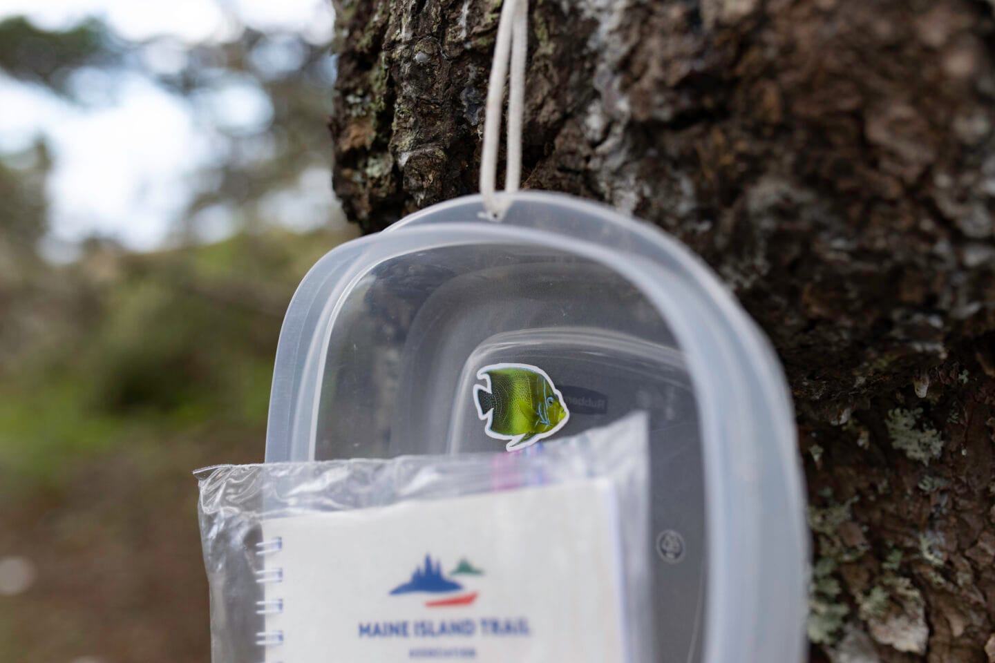 The Logbook Challenge - Maine Island Trail Association